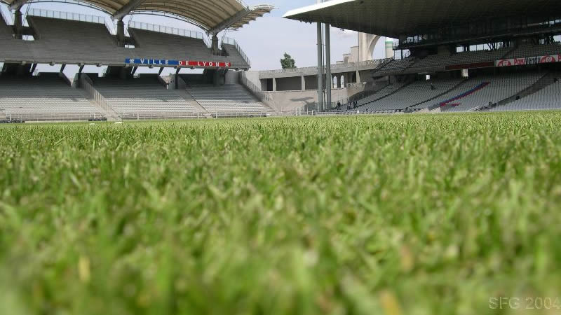 Ray-grass anglais: Choix du Gazon, votre base de données en ligne de ...
